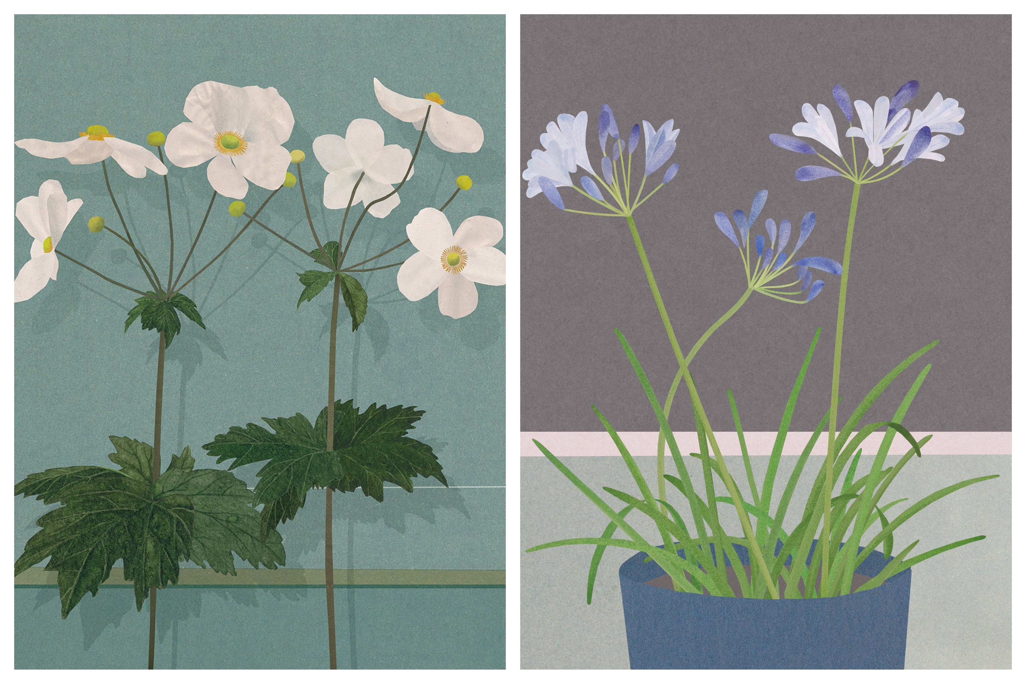 Francesca Chalk - New Work Coming to Crafts Alive!