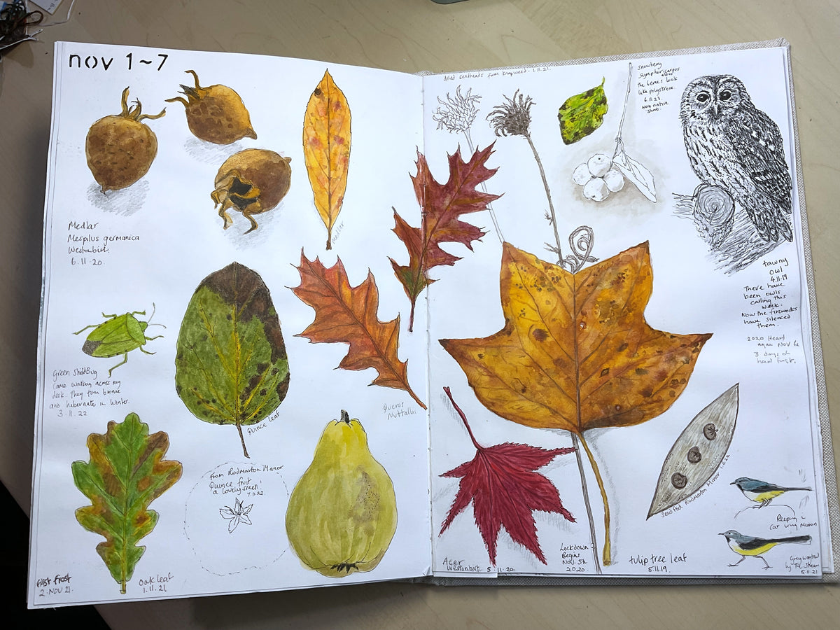 Influences and Inspiration: Keeping a Nature Journal
